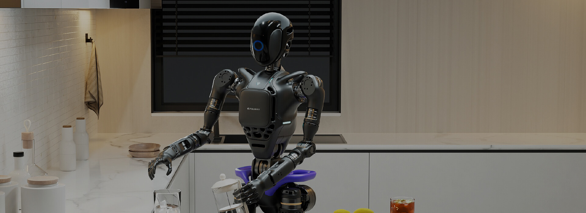 傅利叶 FOURIER | 以机器人科技赋能生活